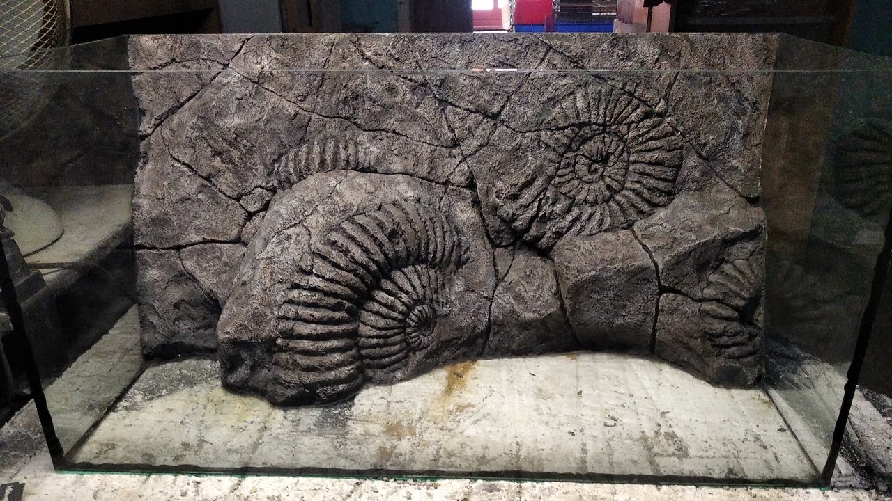 Ammonite Fossils Themed Aquarium Background - YouTube