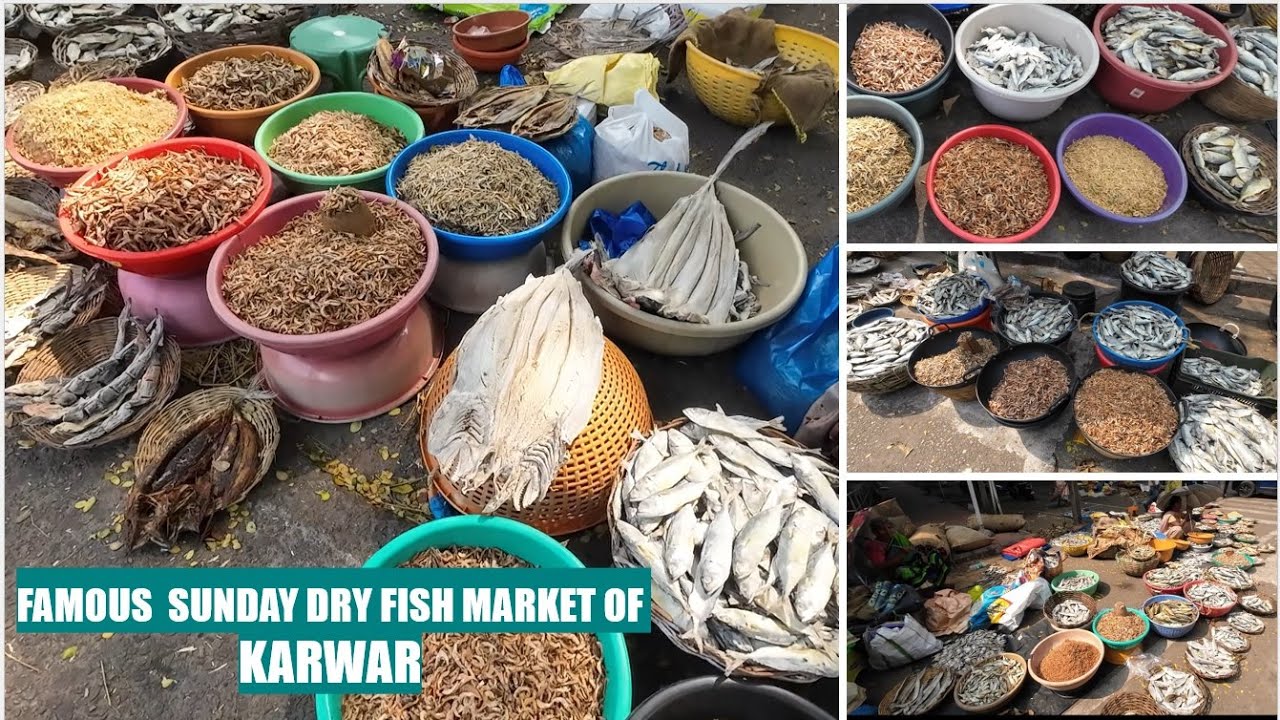FAMOUS SUNDAY DRY FISH MARKET OF KARWAR | DEC'24 | - YouTube