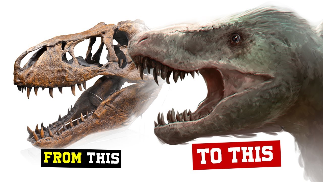 How T-Rex Should Looked Like | Digital Reconstruction Step by Step ...