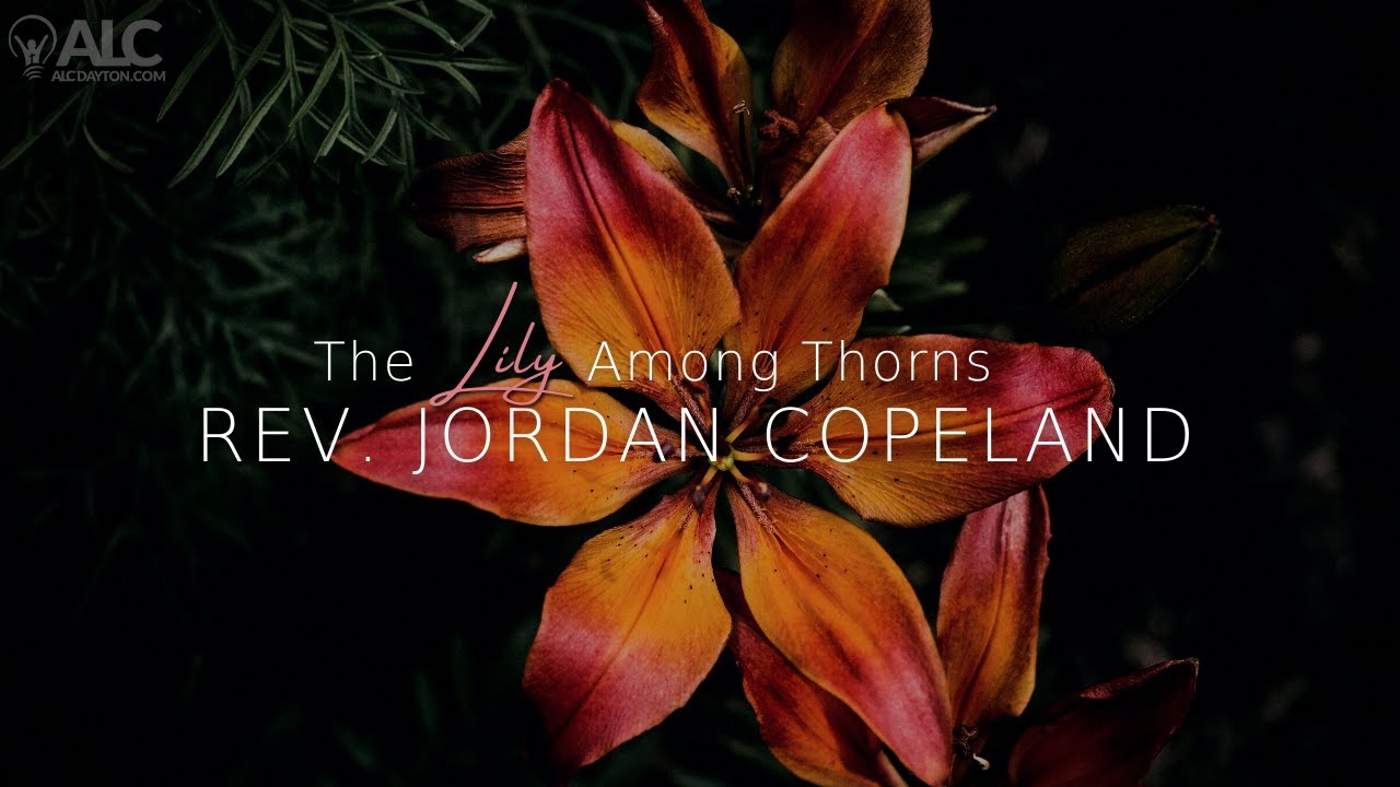 Bro. Jordan Copeland - The Lily Among Thorns - YouTube