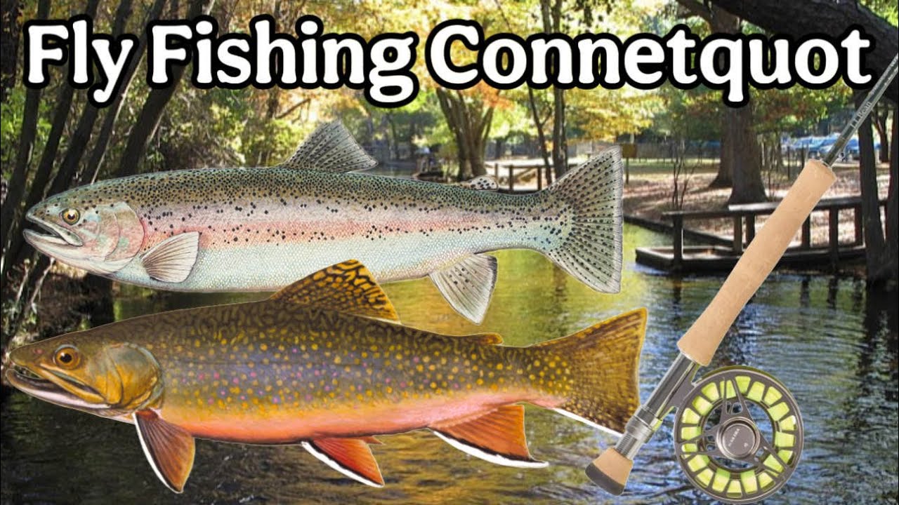 Fun day of Fly Fishing at Connetquot State Park - YouTube
