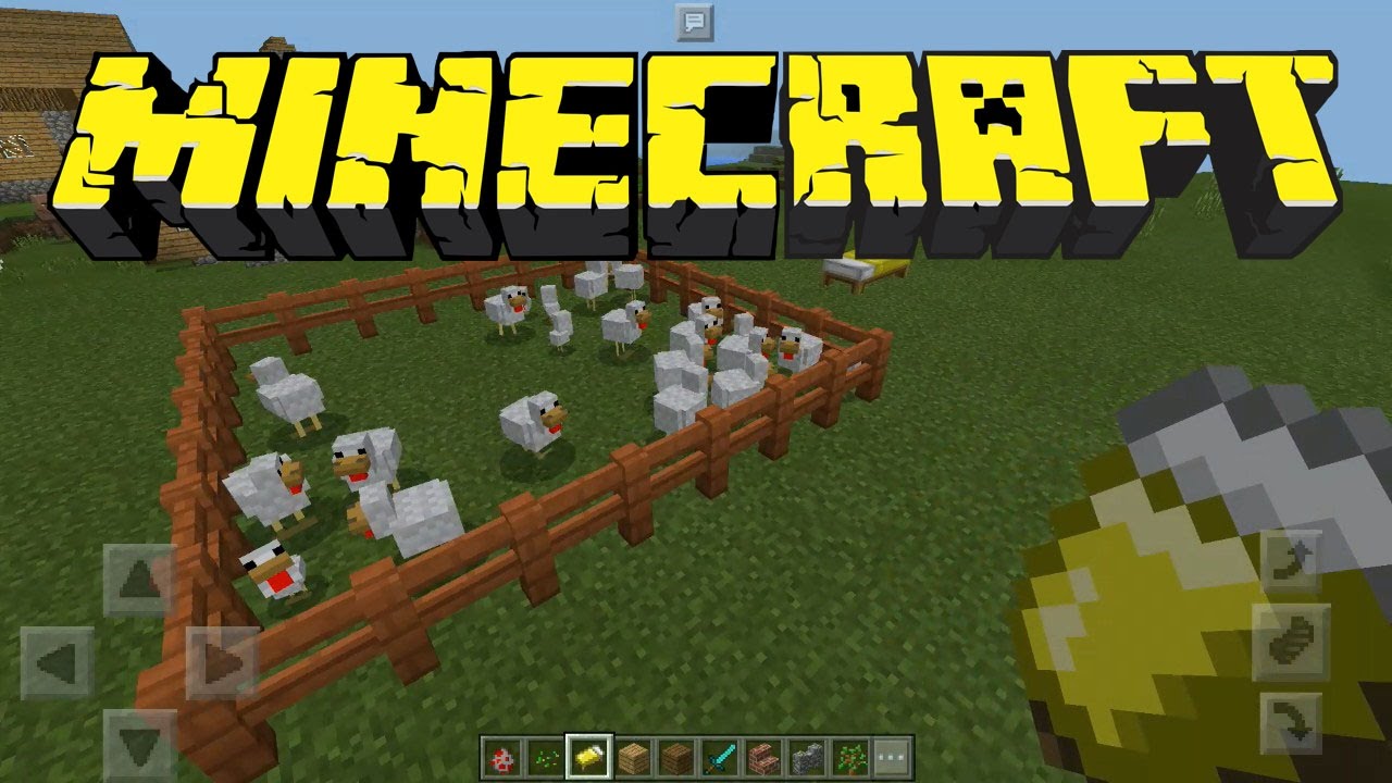 Minecraft Indonesia - Golden Chicken (Add-On MCPE 1.1.0.1) - YouTube