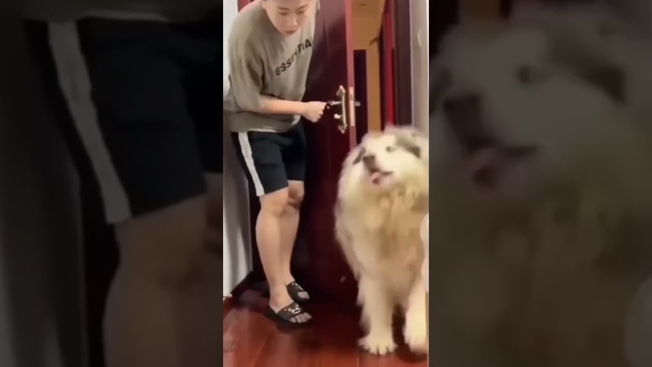 Zulf : Nirvair Pannu | Jassi X | New Punjabi Song Status | - YouTube