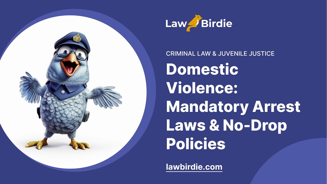 Domestic Violence: Mandatory Arrest Laws & No-Drop Policies - Essay ...