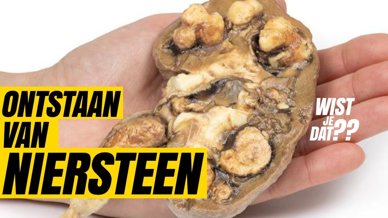 Ontstaan Van Niersteen | Wist Je Dat ?? - YouTube