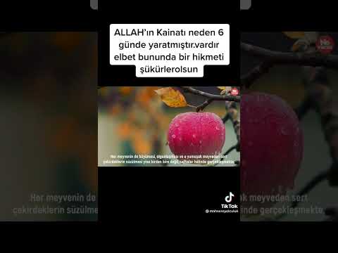 ALLAH kâinatı neden  6 günde yarattı