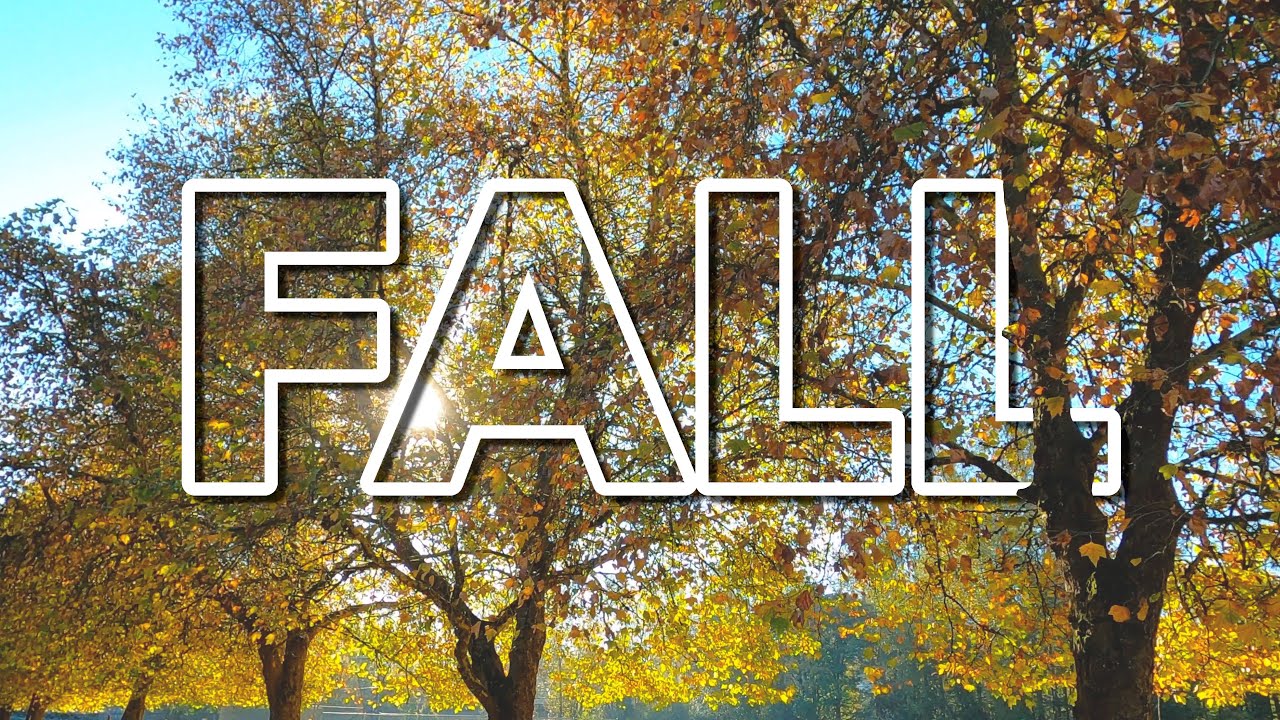 The Best Fall Colors of 2023 | Twin Rivers Park - YouTube