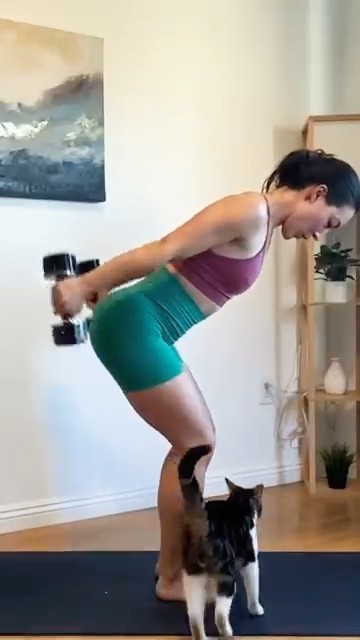 FULL BODY DUMBBELL WORKOUT SNEAK PEAK FT DOGGO #bodyweightexercises # ...