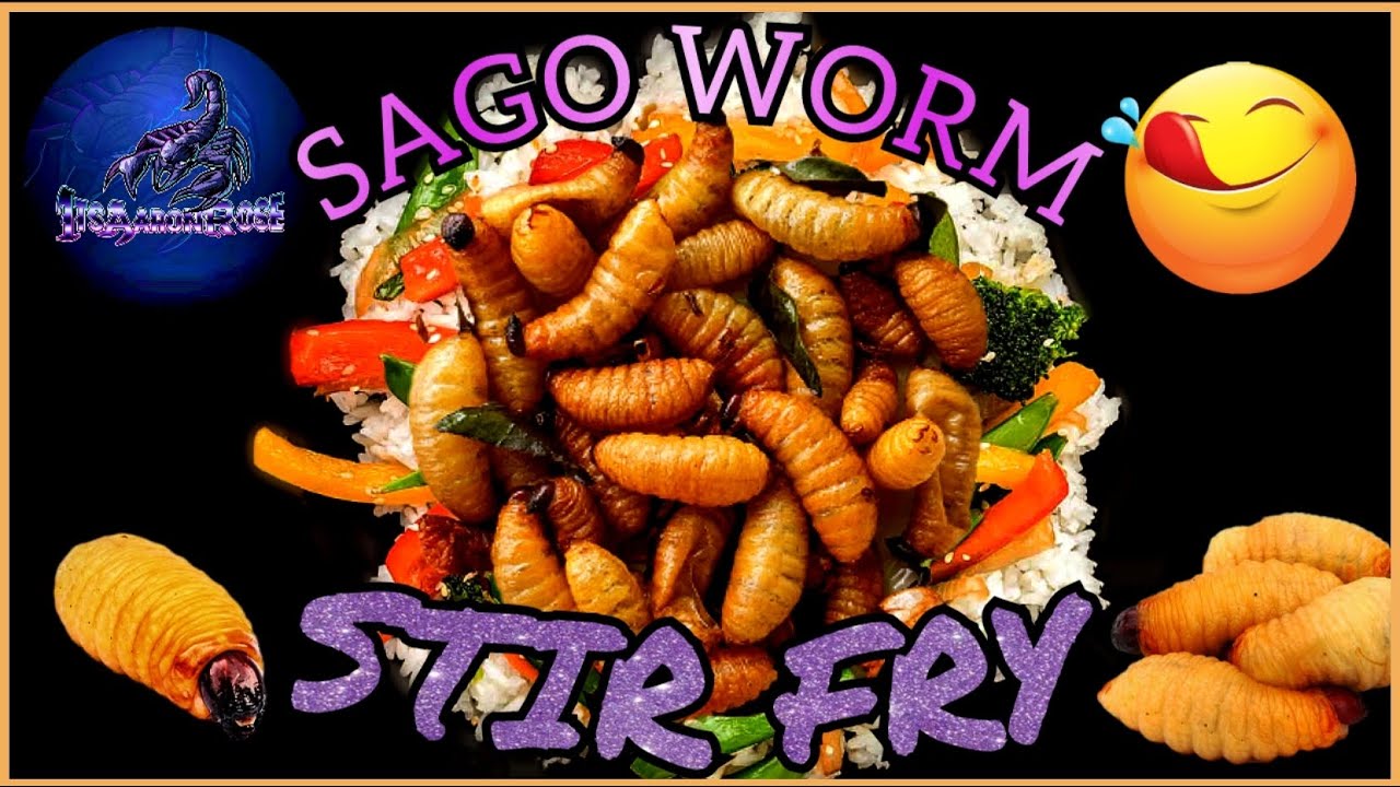 Cooking Fried Worms (Sago Worms) - YouTube