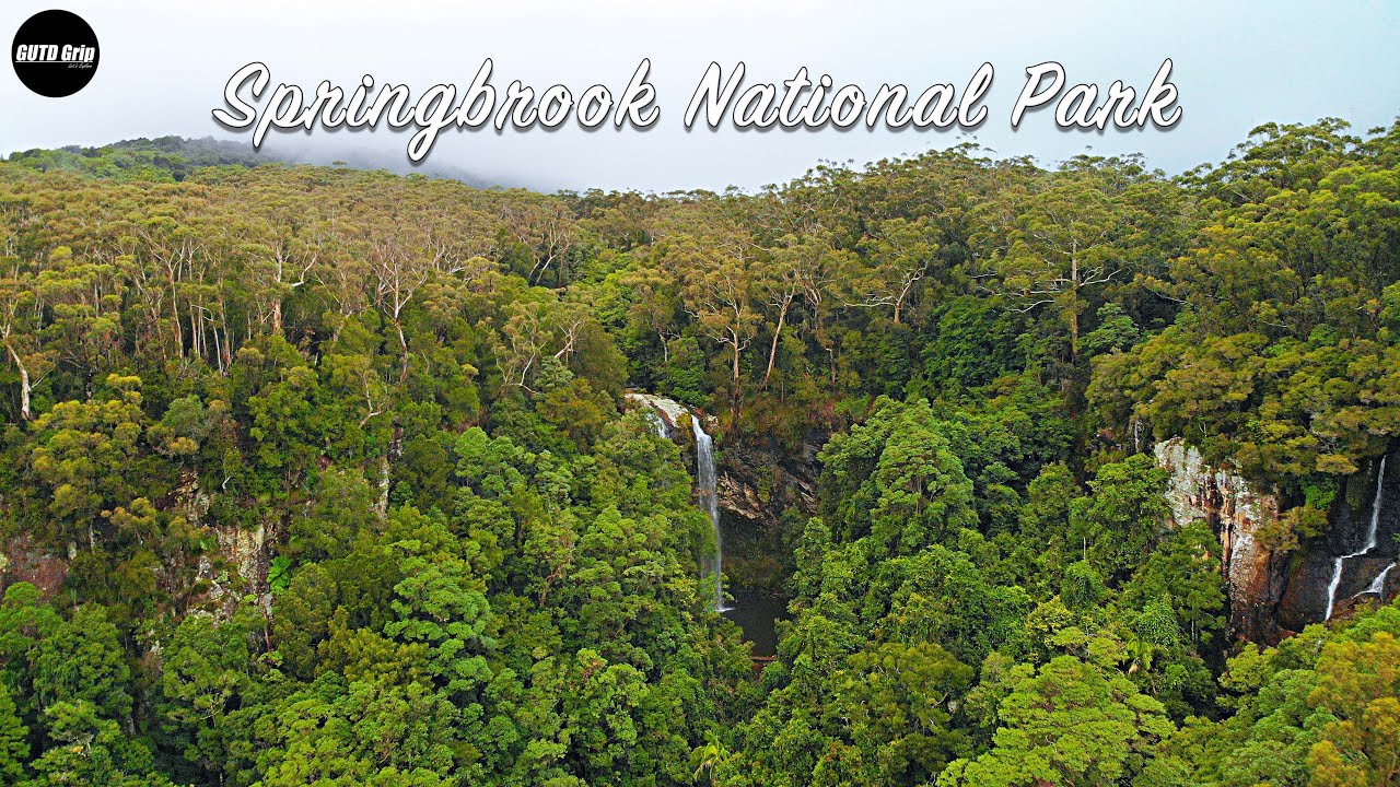 Springbrook National Park | Waterfall Circuit | Twin Falls | Queensland ...