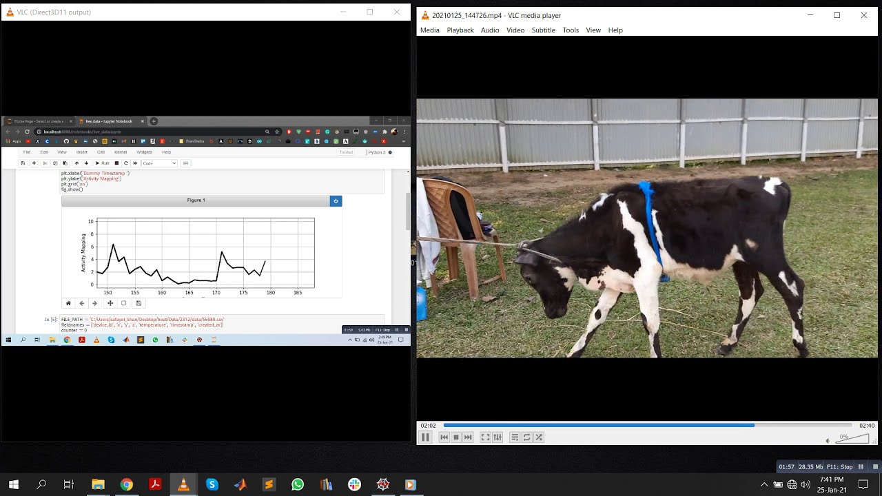 (Short Video) Real Time Activity Monitoring of Cow with Accelerometer ...