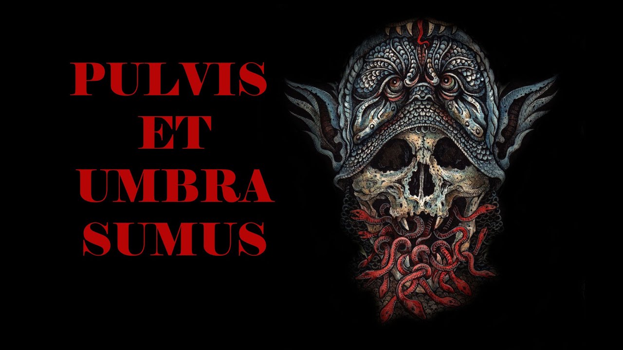 Pulvis Et Umbra Sumus - drawing progress | by Luciana Nedelea ...