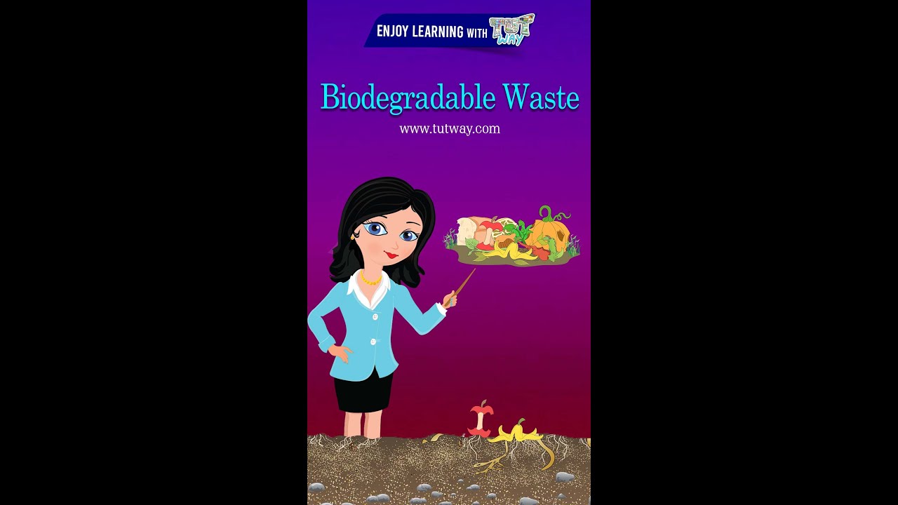 Biodegradable Waste | Biodegradable Waste and Non-Biodegradable Waste ...