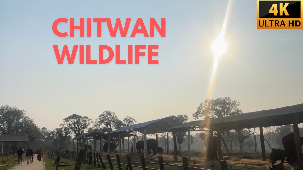 CHITWAN WILDLIFE || Chitwan Elephant Breeding Center || Adventure ...