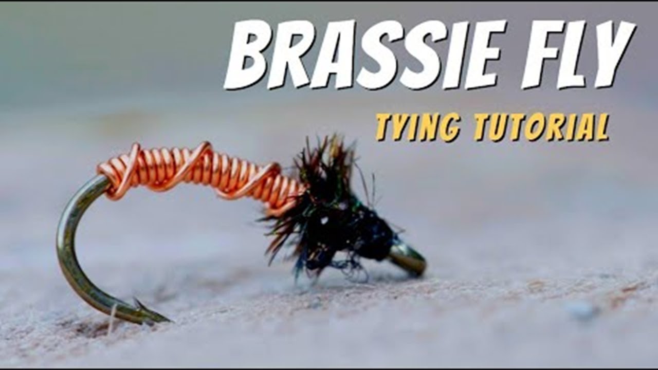Brassie Fly Pattern (Fly Tying Tutorial) - YouTube