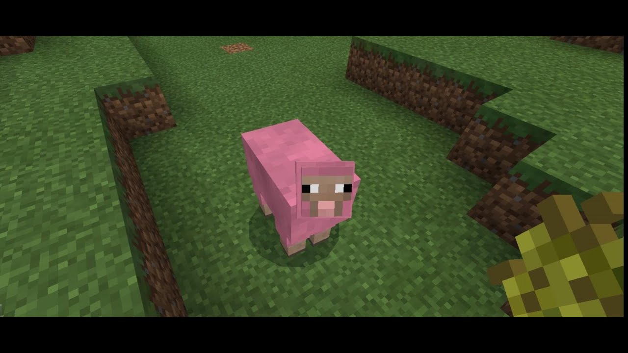 WE HAVE A PINK SHEEP FARM!! (minecraft hardcore ep1) - YouTube
