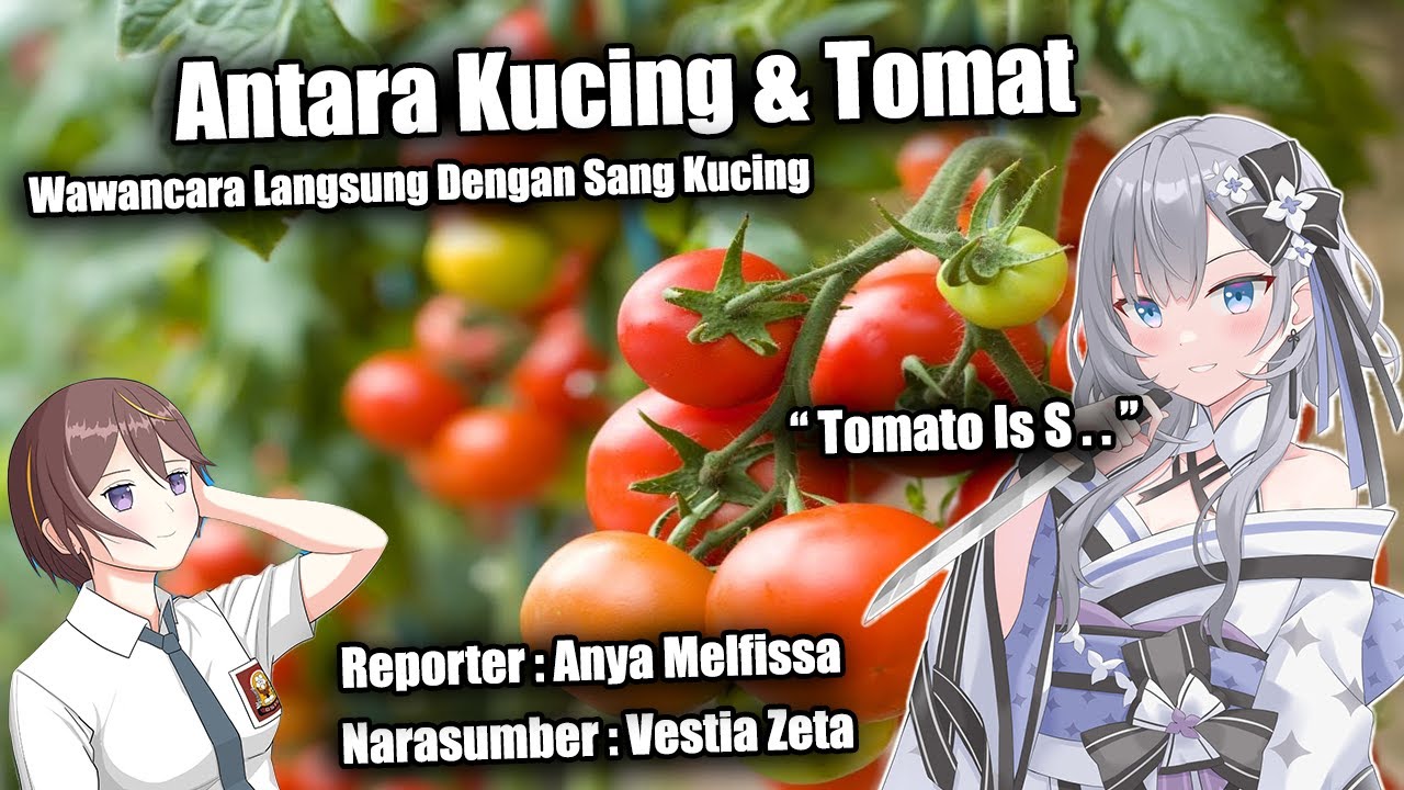 Apakah Kucing Suka Makan Tomat?【 Vestia Zeta | Anya Melfissa 】 [Clip ...