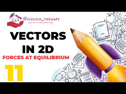 Grade 11 Vectors in 2D | Forces At Equilibrium - YouTube