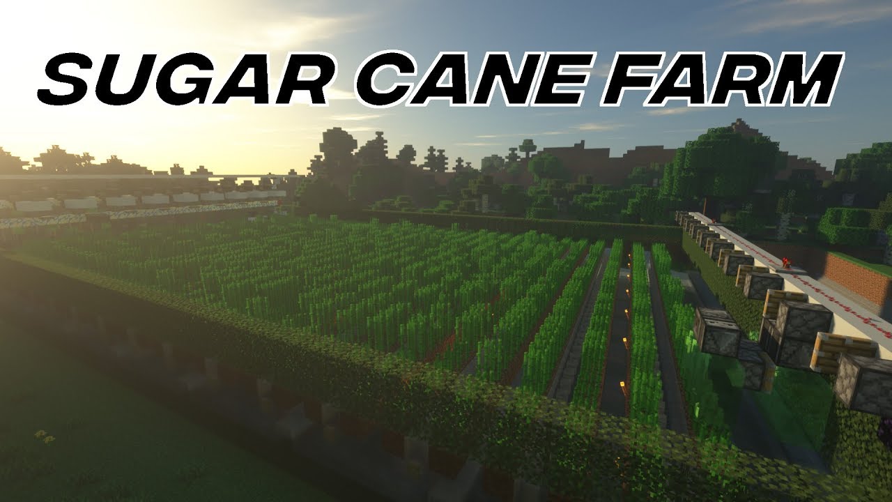 Coolest Sugar Cane Farm Ever - YouTube