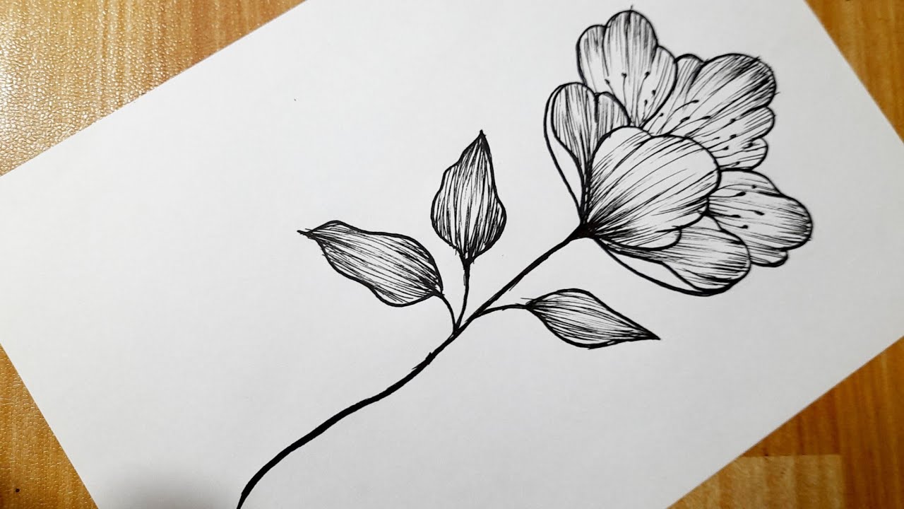 Flower drawing tutorial || Easy Flower drawing For beginners - YouTube