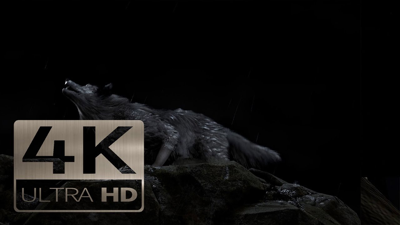 Resident Evil 4 (2023) - Wolf Appears during El Gigante Fight ...