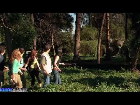 Komodo Vs. Cobra (2005) Komodo Persegue o grupo (Dublado) em (HD)