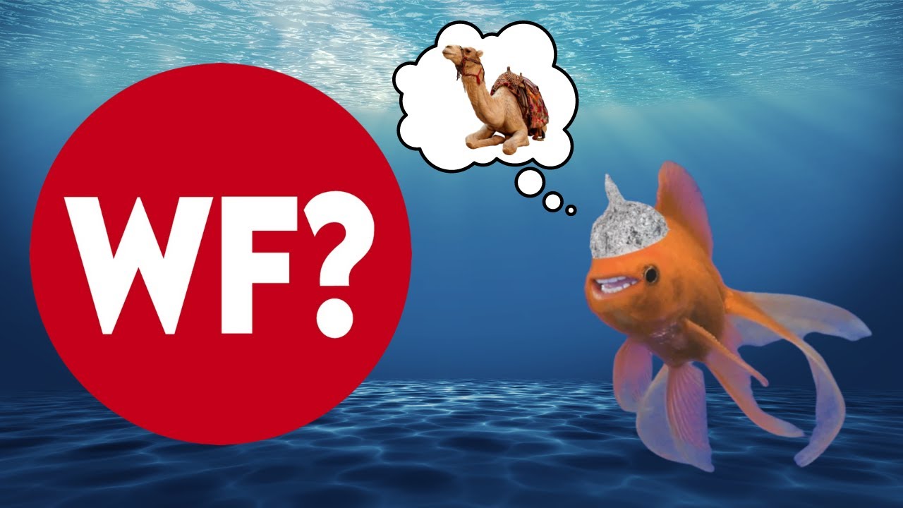 HeckleFish from The Why Files ask an Ethical Question - YouTube