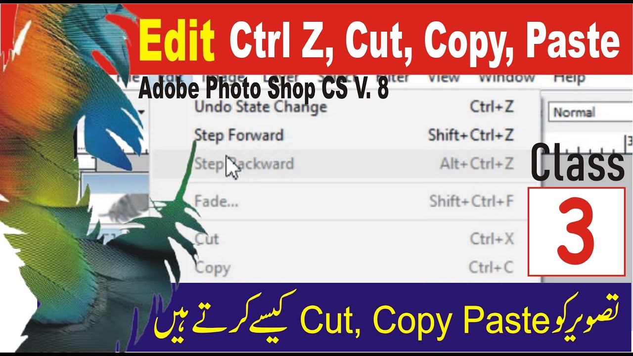 Cut, Copy , Paste - YouTube