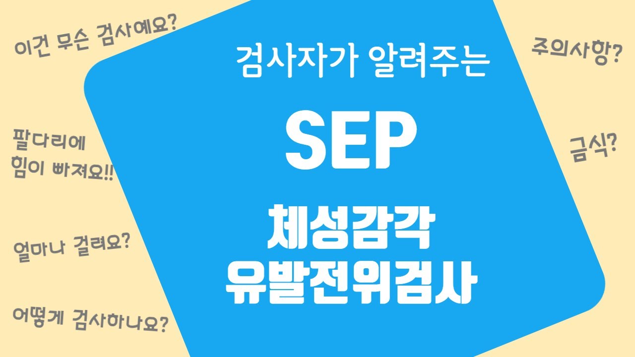 SEP / 체성감각유발전위검사 / SEP 검사 설명 / SEP 검사 방법 / SEP 검사 설명 / SEP 주의 사항 / SEP ...
