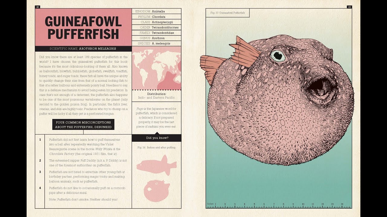 UNUSUAL CREATURES by Michael Hearst (book trailer) - YouTube