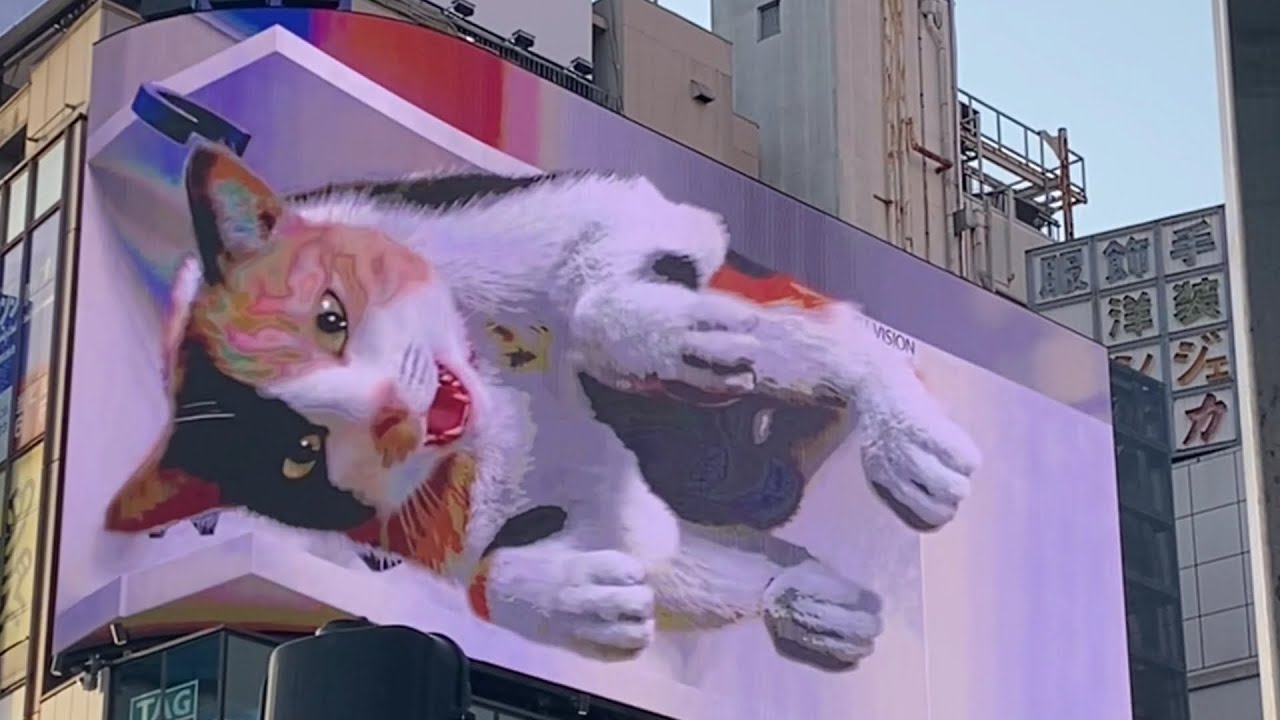 Cute Giant Cat & Giant TAG Heuer Carrera Watch on Shinjuku's 3D ...