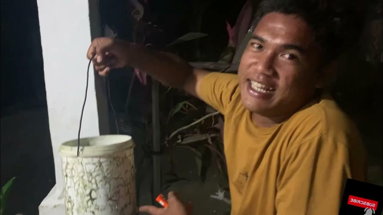 Preman kampung fahmi terciduk lagi vc sama cewek !! - YouTube