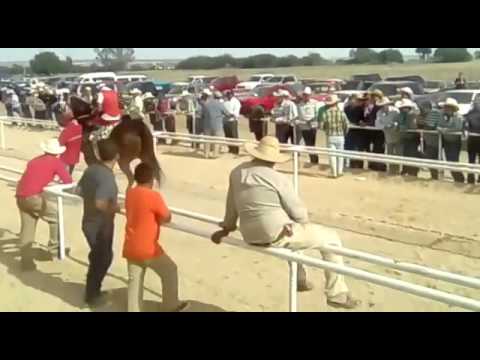 El bocho vs el minero