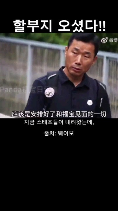 푸바오 할부지 오셨어 할부지한테 어리광도 부리고 얘기 많이해♡♡ Youtube