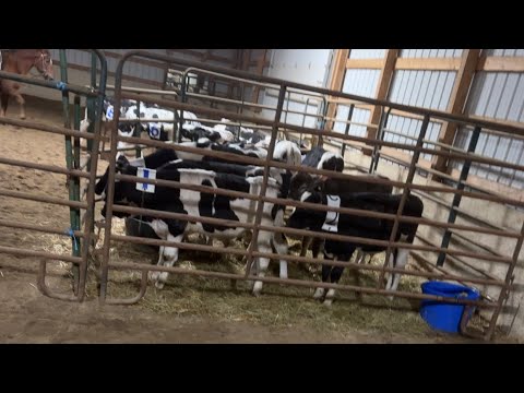Sortin practice - YouTube