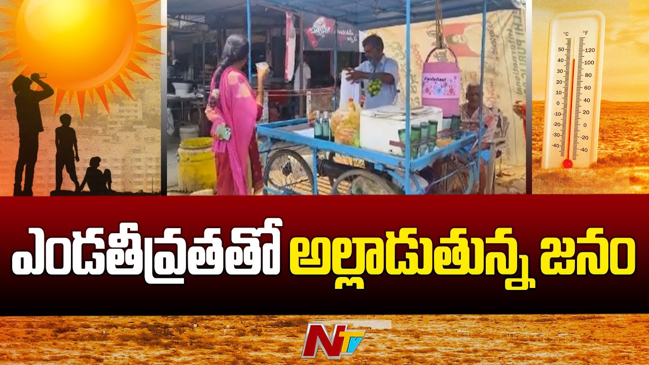 Weather Report: Temperature Increases In Vijayawada | Ntv - YouTube
