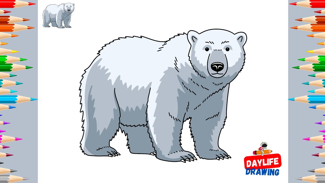 How to Draw a Polar Bear | Step-by-Step Drawing Tutorial - YouTube