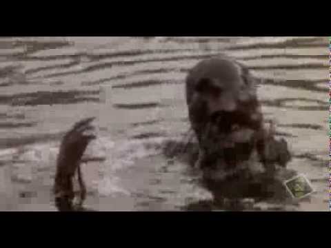 189 the raft monster top (horror villains of all time) - YouTube
