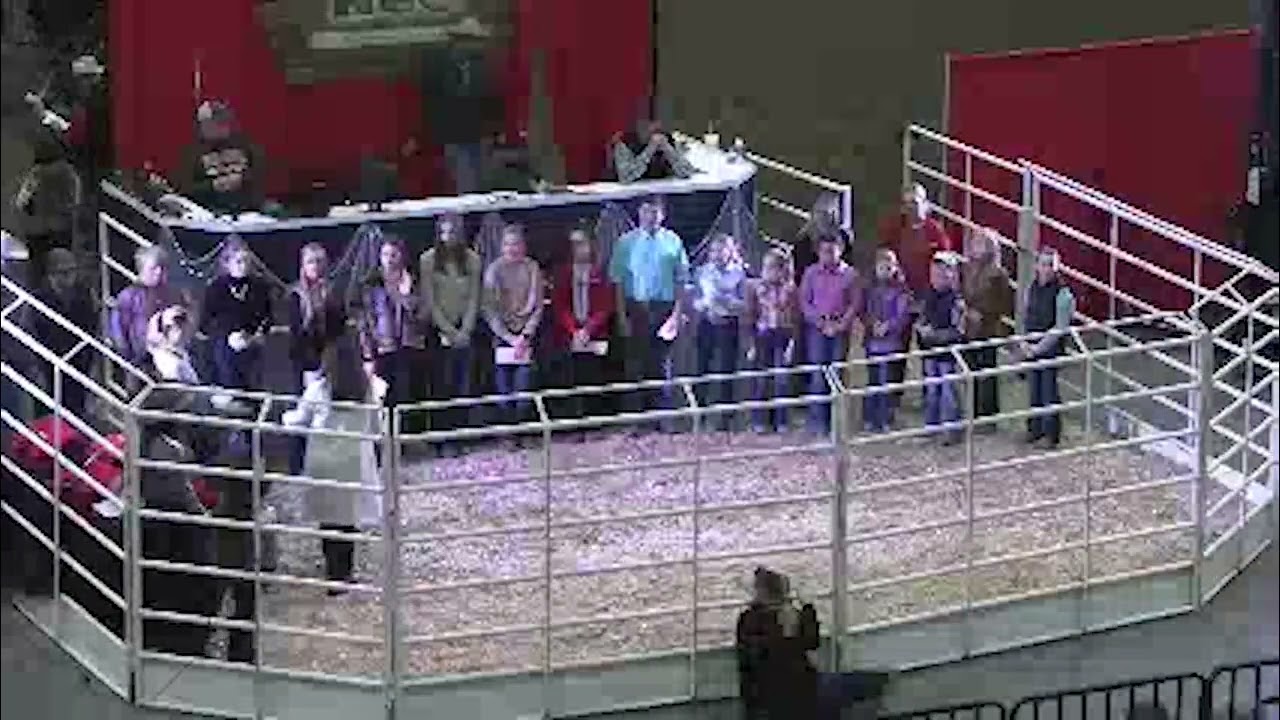 Nebraska Cattlemen's Classic Fancy Heifer & Prospect Steer 2-19-2022 ...