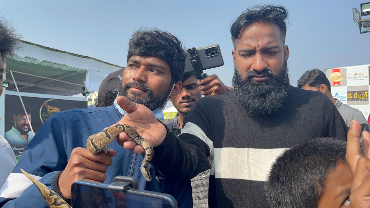 Pareshan Boys Imran Anna At Pet Show At People Plaza || Chikoti Praveen ...