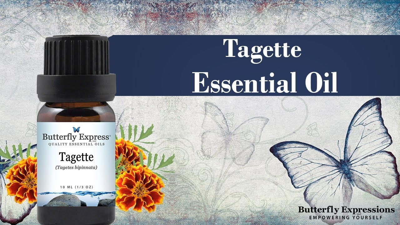 Tagette Essential Oil - YouTube