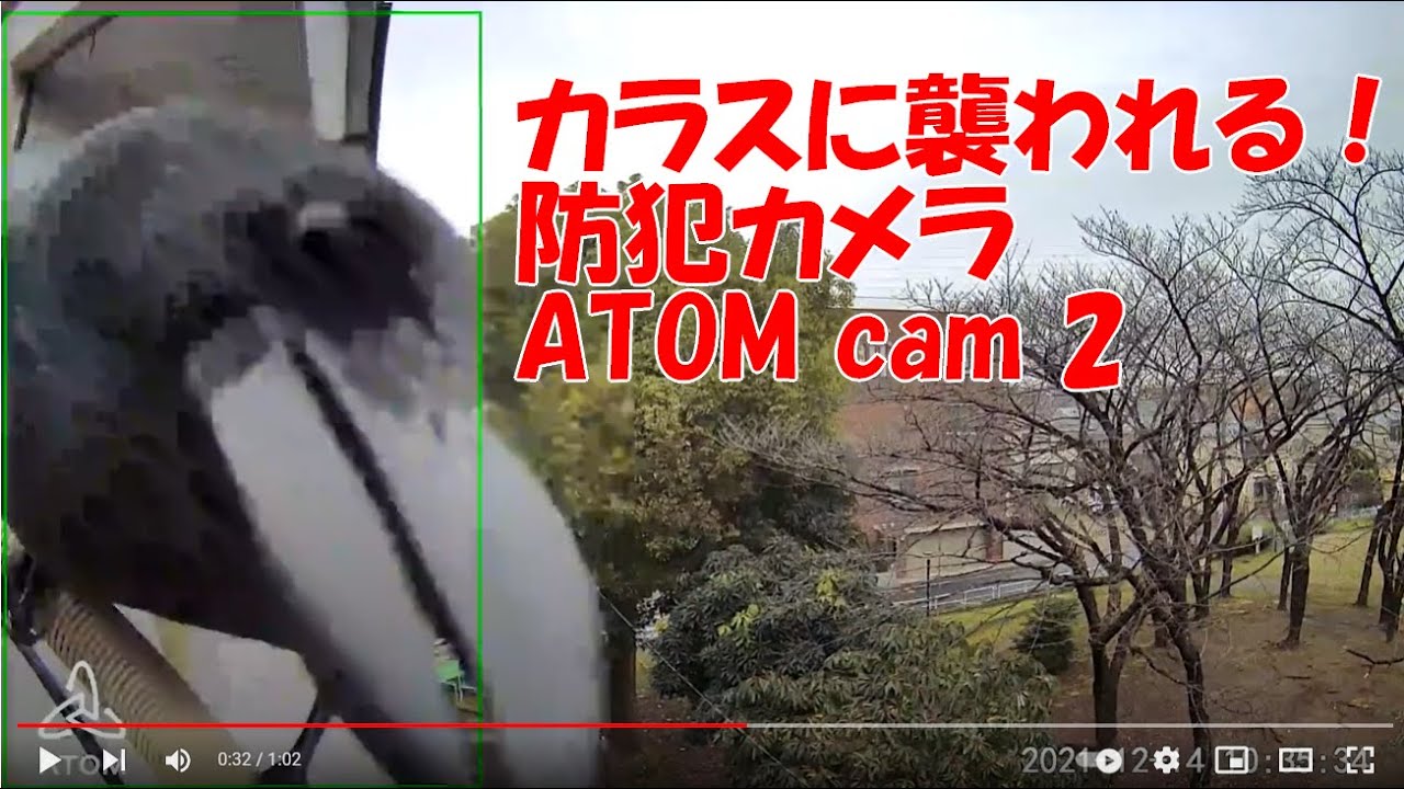 カラスに襲われる防犯カメラ@atomcam845 #shorts #atomcam security camera attack of ...