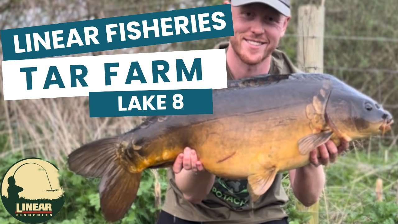 Linear Fisheries | 48 hours on the Tar Farm Complex - Lake 8 - YouTube