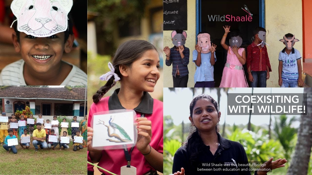 Wild Shaale: A Beautiful Bridge Between Education and Conservation ...