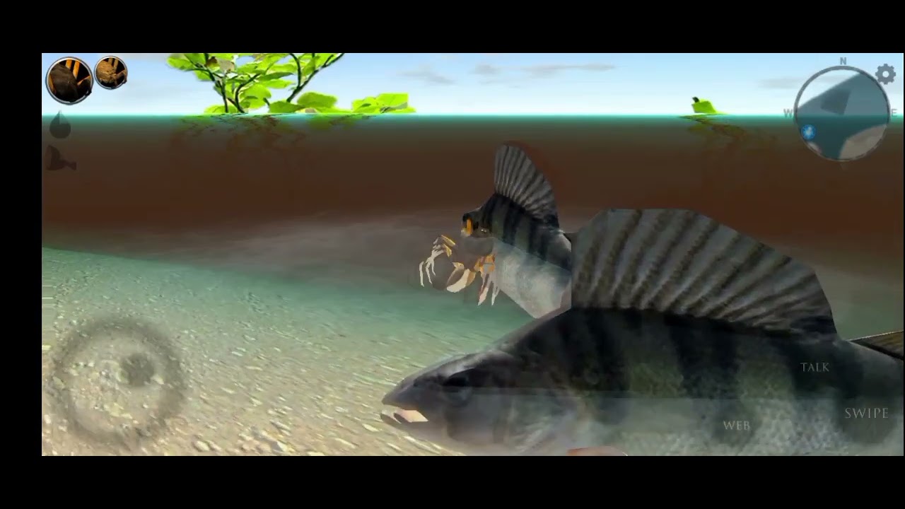 killing every INSECT/ANIMAL in Ultimate Spider Simulator 2 - YouTube