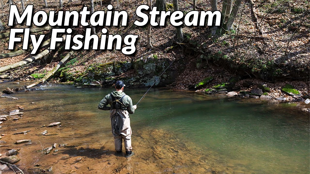 Fly Fishing a PA Mountain Stream - YouTube