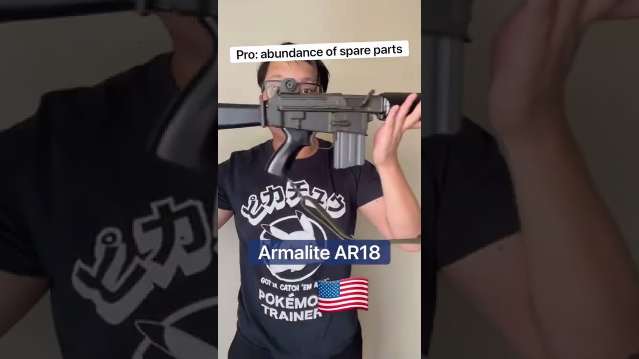 Budget AR15 Alternatives | ARO News