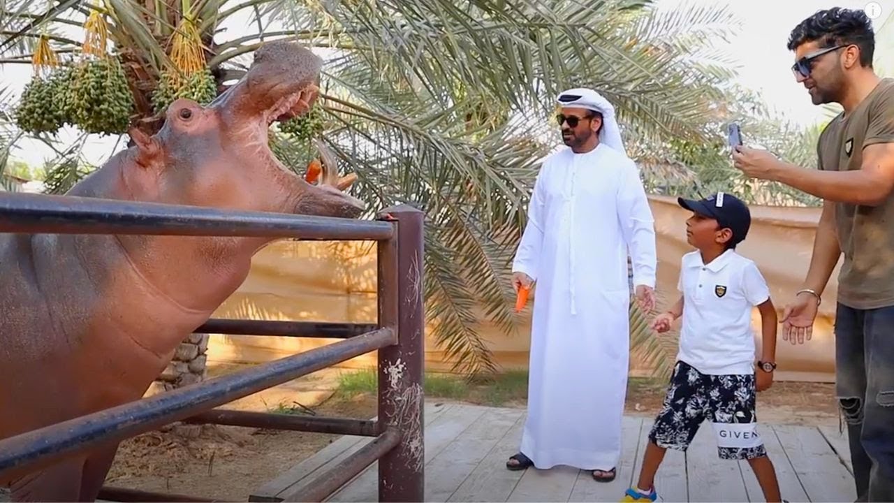 Guru Randhawa Visits Fame Park Dubai Animal Sanctuary | Exclusive Tour ...