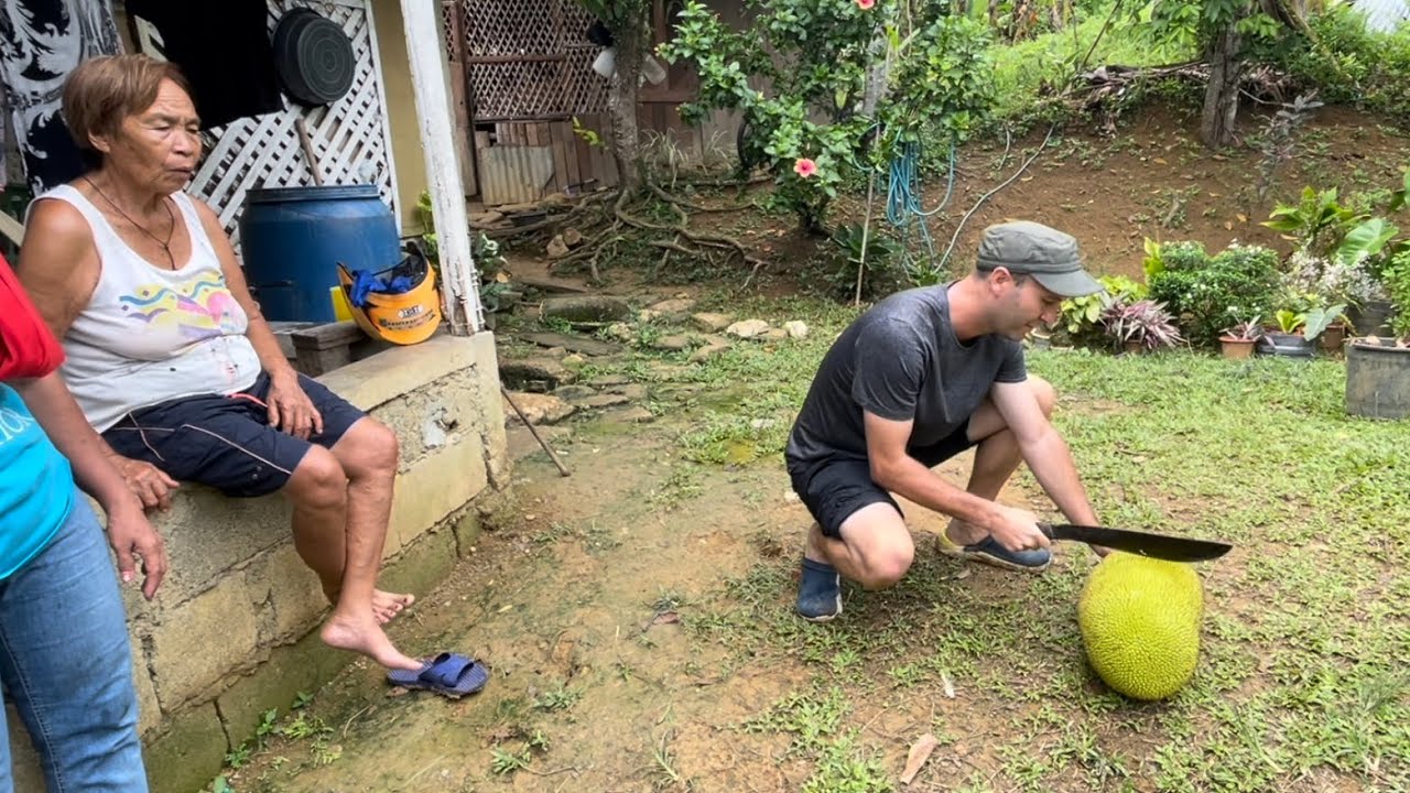 Foreigner harvesting jackfruit for the first time - Province Life ...