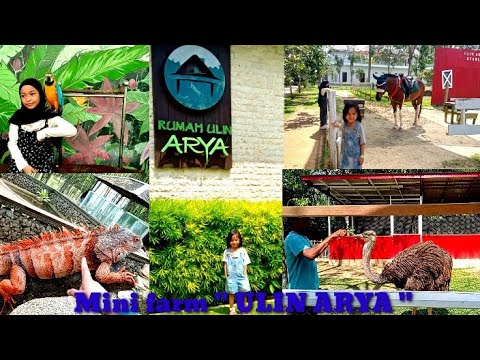 RUMAH ULIN ARYA SAMARINDA || Wisata kebun binatang Samarinda - YouTube